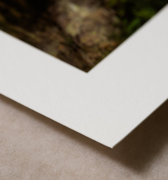 Sustainable Fine-Art Digital Prints - Meet our Papers! – Print ...