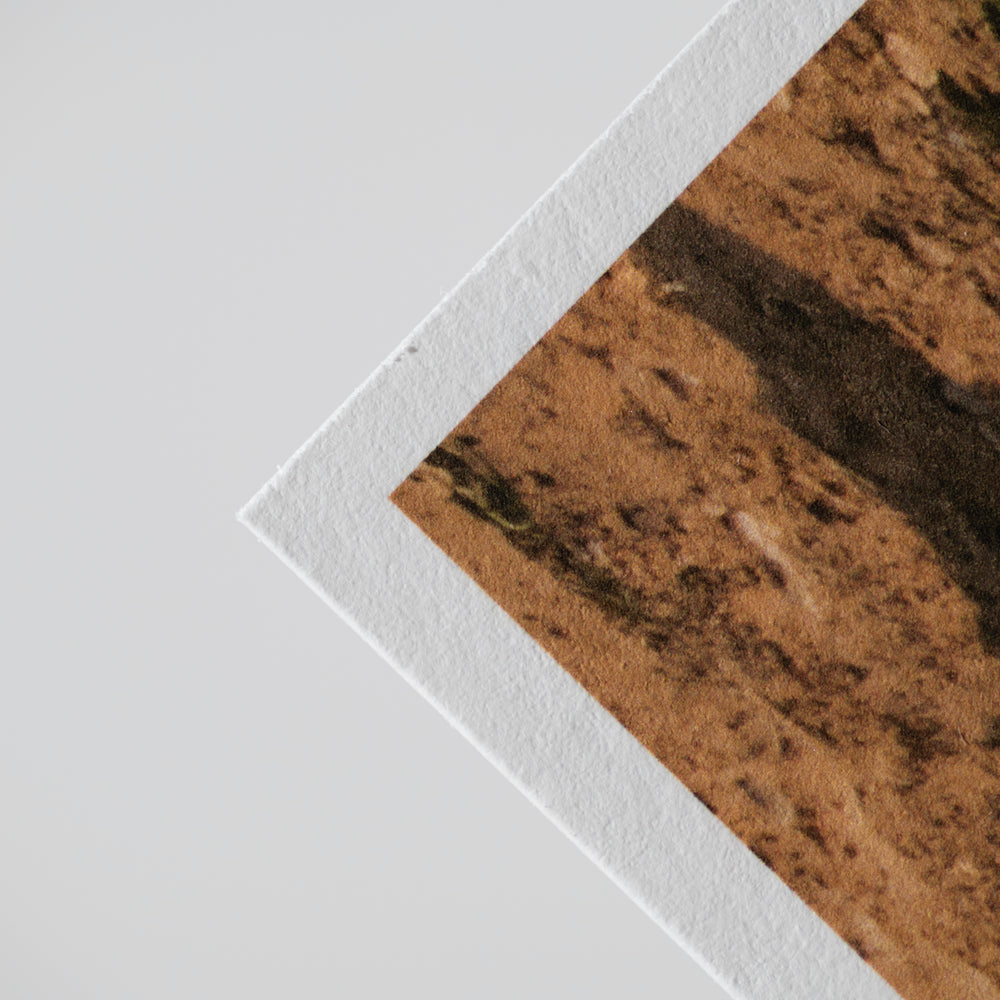 Sustainable Fine-Art Digital Prints - Meet our Papers! – Print ...